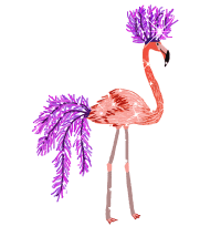 Flamingo GIFs - Get the best gif on GIFER