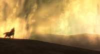 Howling GIFs - Get the best gif on GIFER