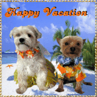 Vacations GIFs - Get the best gif on GIFER