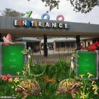 Zoos GIFs - Get the best gif on GIFER