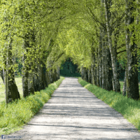 Garden GIFs - Get the best gif on GIFER