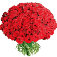 Bouquet GIFs - Get the best gif on GIFER