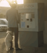 Fast humping GIFs - Get the best gif on GIFER