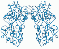 Datos GIF - Conseguir el mejor gif en GIFER
