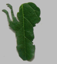 Exploit GIFs - Get the best gif on GIFER