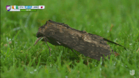 Mites GIFs - Get the best gif on GIFER