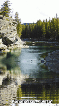 Revenant GIFs - Get the best gif on GIFER