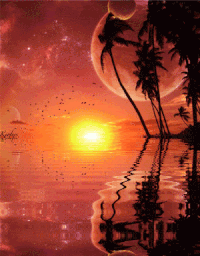 Sunset GIFs - Get the best gif on GIFER