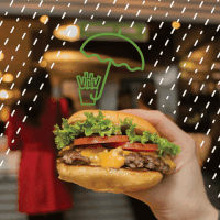 Shack GIFs - Get the best gif on GIFER