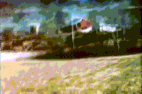 Inky GIFs - Get the best gif on GIFER