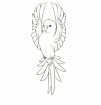 Coloring GIFs - Get the best gif on GIFER