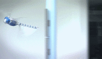 Dragonfly GIFs - Get the best gif on GIFER