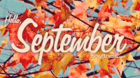 September GIFs - Get the best gif on GIFER