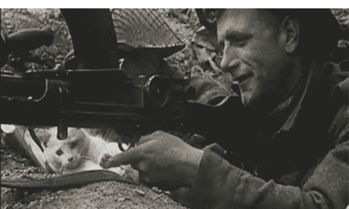 Shotthanks GIFs - Obtenez le meilleur gif sur GIFER