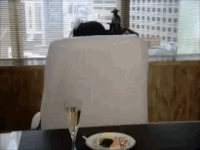 Vel GIFs - Get the best gif on GIFER