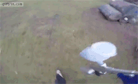Dammit GIFs - Get the best gif on GIFER