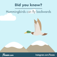 Fact GIFs - Get the best gif on GIFER