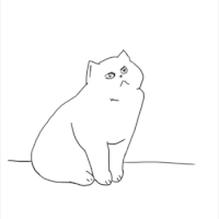 Determination GIFs - Get the best gif on GIFER