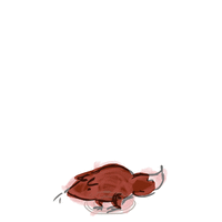 Whee GIFs - Get the best gif on GIFER