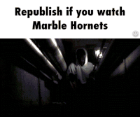 Marmor Hornets Gifs Marble Hornets GIFs Obtenez Le Meilleur Gif Sur