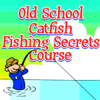 Catfish GIFs - Get the best gif on GIFER