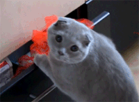 Guilty GIFs - Get the best gif on GIFER