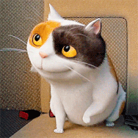 Home GIFs - Get the best gif on GIFER
