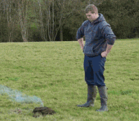 Asco GIF - Conseguir el mejor gif en GIFER