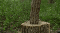 Wood GIFs - Get the best gif on GIFER
