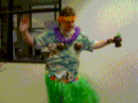 Hawaii GIFs - Get the best gif on GIFER