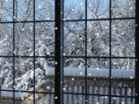 Окно GIFs - Get the best gif on GIFER