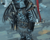 Predator GIFs - Get the best gif on GIFER