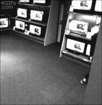 Unexpected GIFs - Get the best gif on GIFER