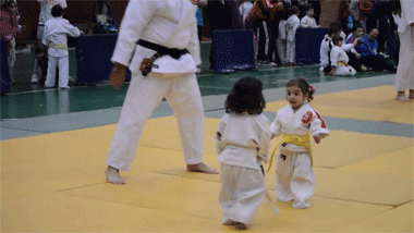 Jiu jitsu GIF - Conseguir o melhor gif em GIFER