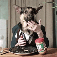 Humans GIFs - Get the best gif on GIFER