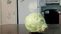 Cabbage GIFs - Get the best gif on GIFER