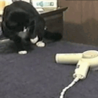 Dryers GIFs - Get the best gif on GIFER