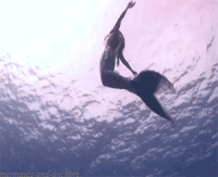Mermaid GIFs - Get the best gif on GIFER