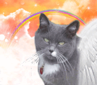 Persian GIFs - Get the best gif on GIFER