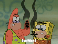 Long suffering look GIFs - Get the best gif on GIFER
