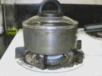 Essence GIFs - Get the best gif on GIFER