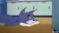 Tom GIFs - Get the best gif on GIFER