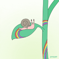 Snail GIFs - Get the best gif on GIFER