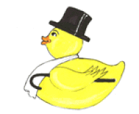 Patos GIFs - Get the best gif on GIFER