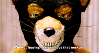 Fantastic mr fox GIFs - Get the best gif on GIFER