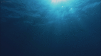 Oceano GIFs - Get the best gif on GIFER