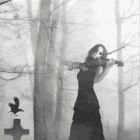 Violon GIFs - Get the best gif on GIFER