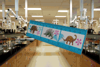 Lenticular GIFs - Get the best gif on GIFER