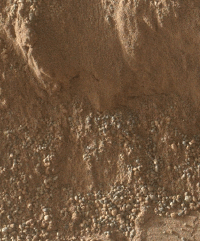 Curiosity GIFs - Get the best gif on GIFER