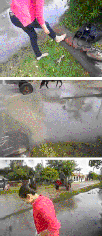 Puddle GIFs - Get the best gif on GIFER